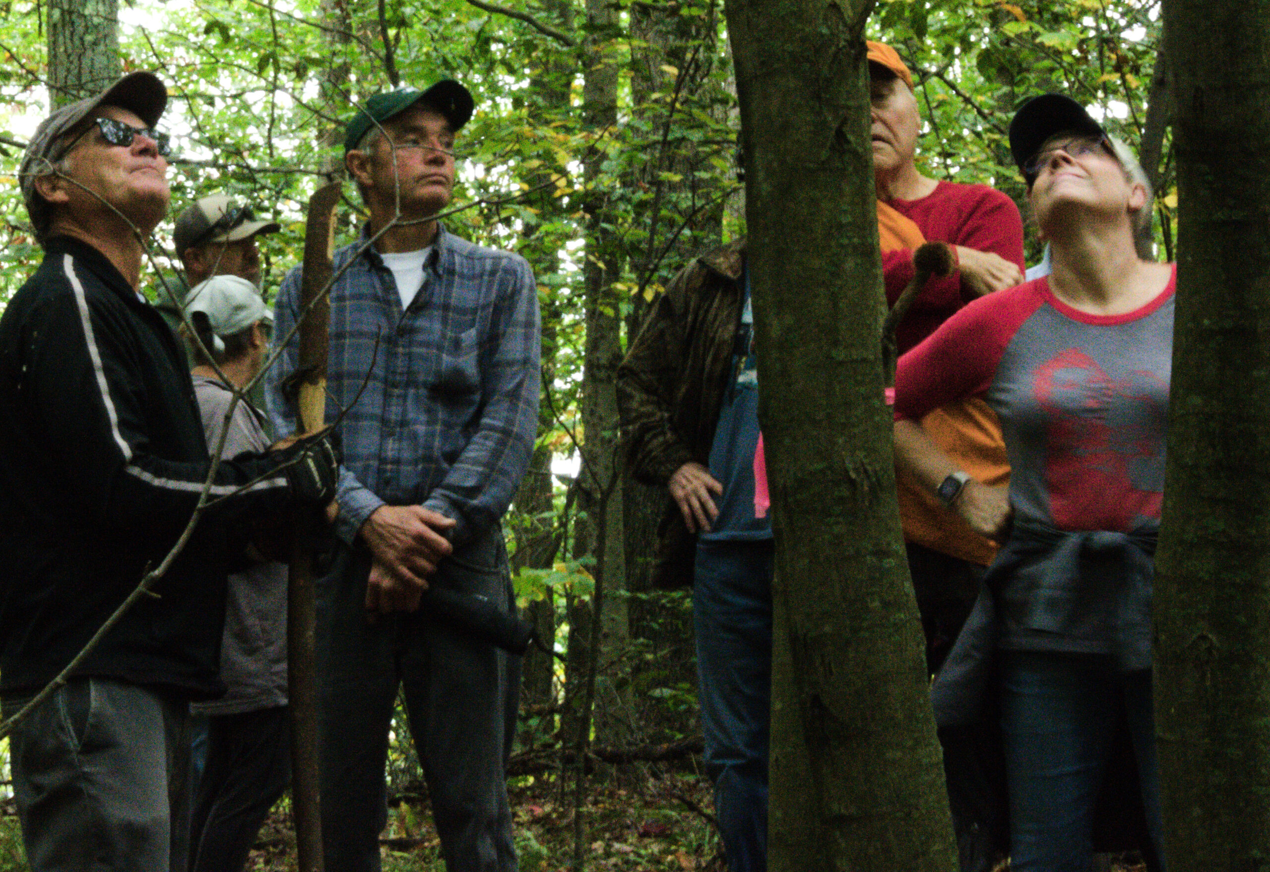 Woods Walk set for June 21 | News, Sports, Jobs - Observer Today